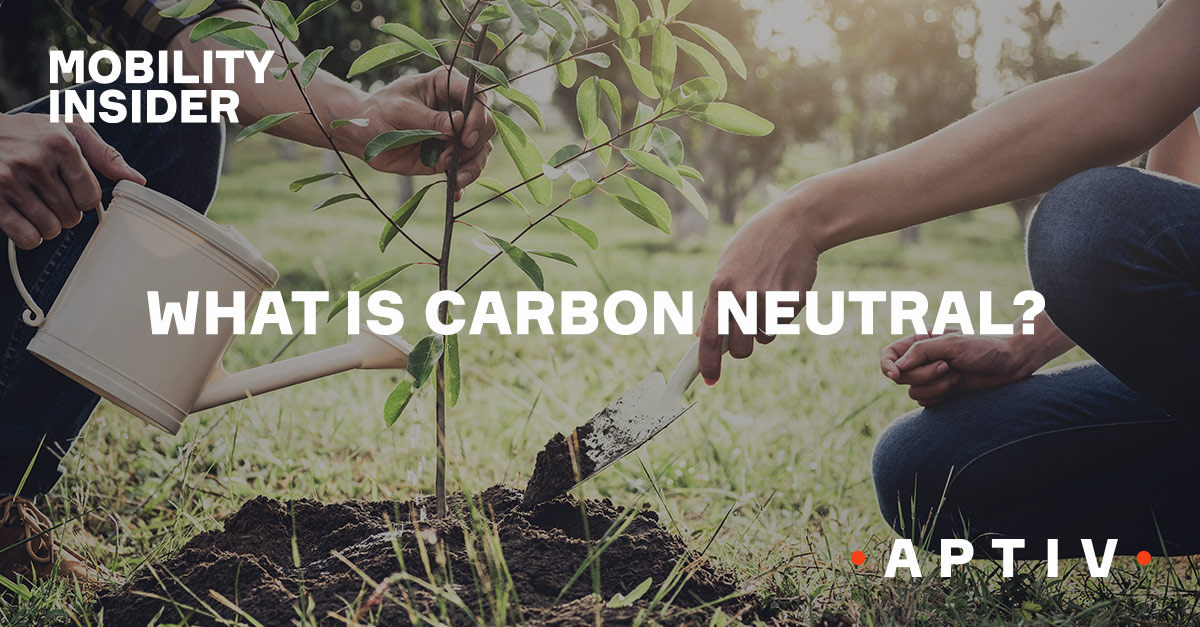 What Is Carbon-Neutral?